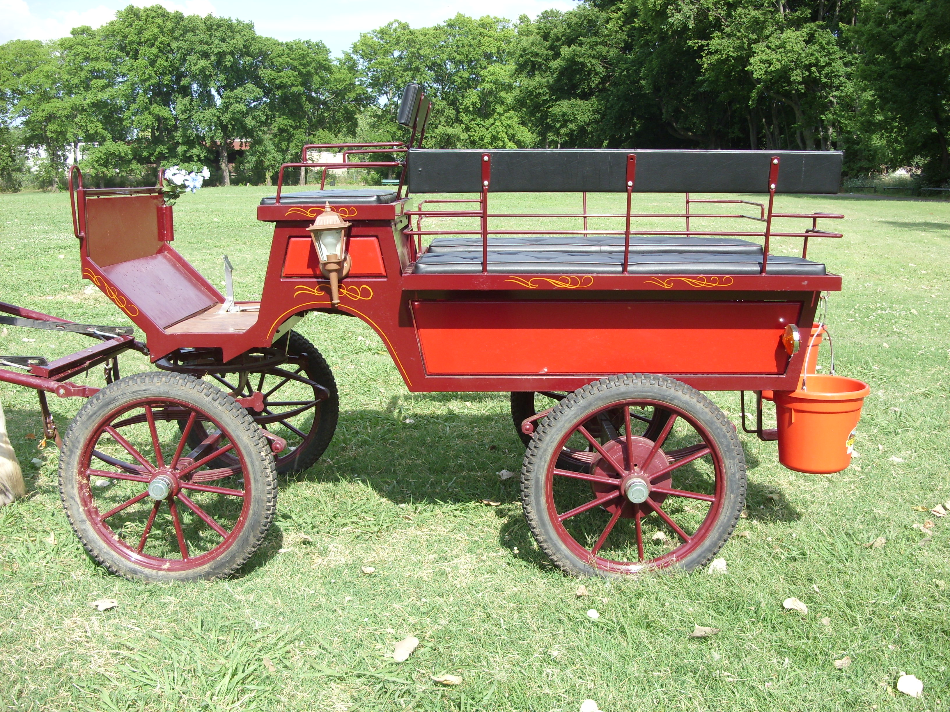 Carriages & Horses The Wagonette
